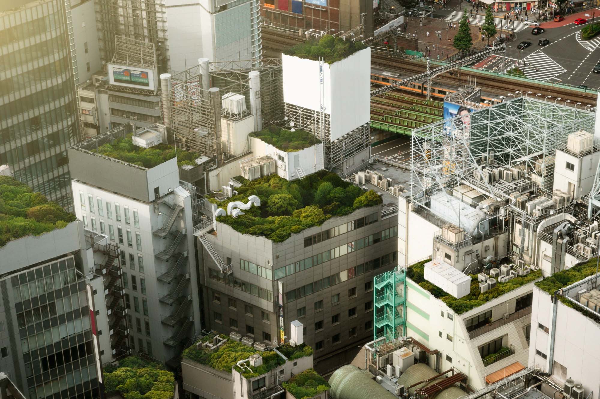 Eco-Friendly Architect for Sustainable Architecture Projects